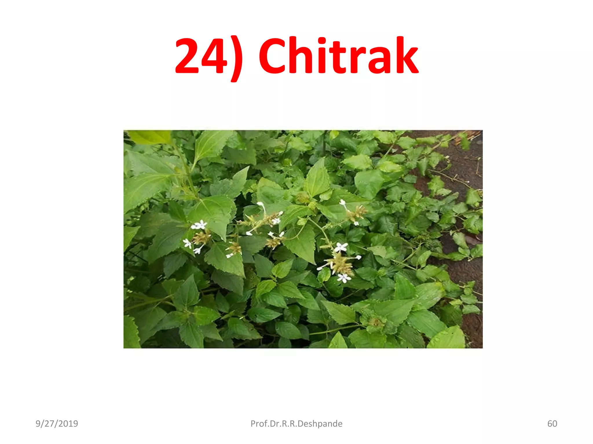 Dravyaguna vignyan ppt | PDF