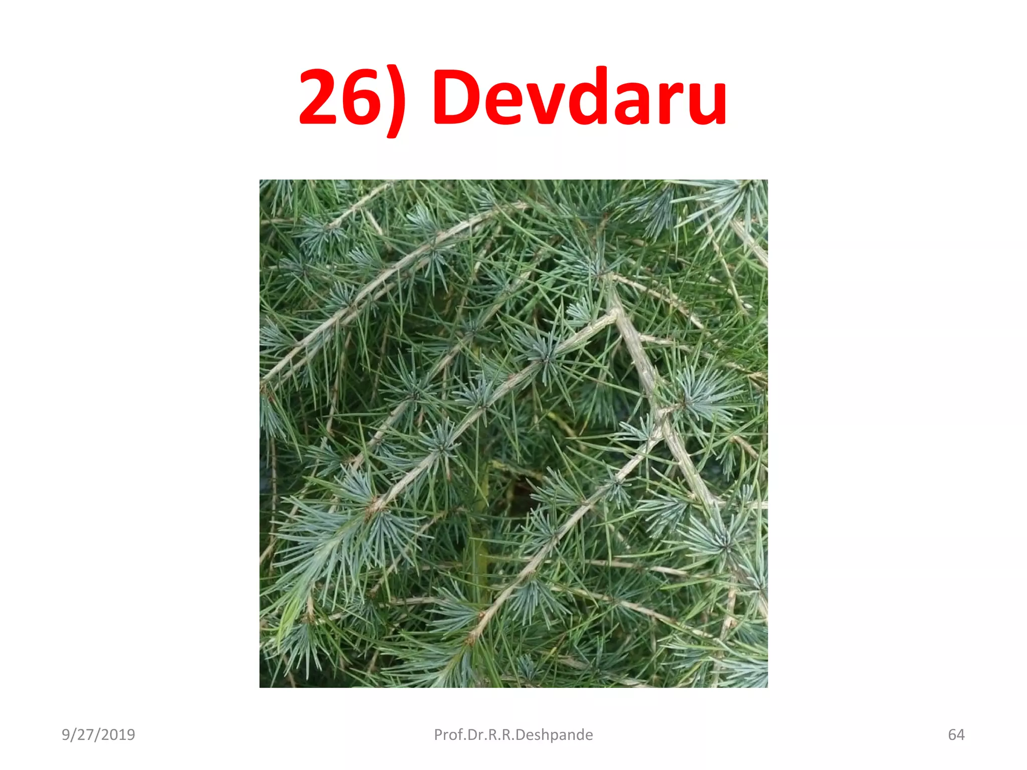 Dravyaguna vignyan ppt | PDF