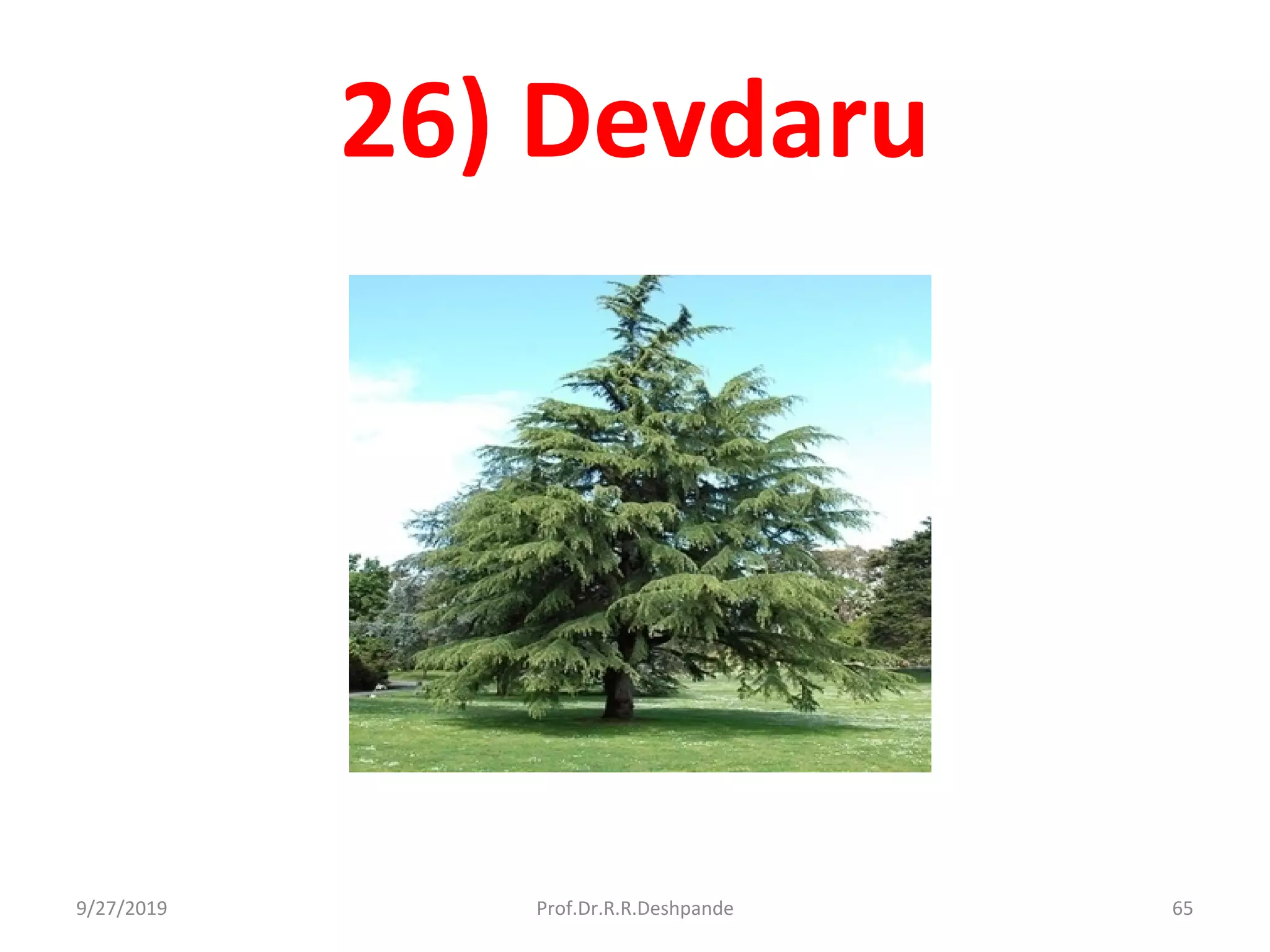 Dravyaguna vignyan ppt | PDF