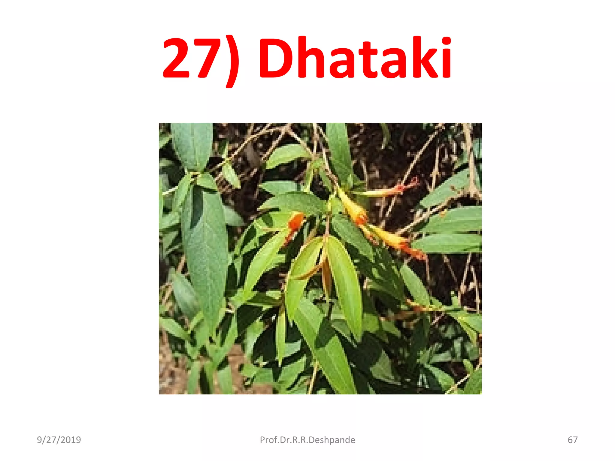 Dravyaguna vignyan ppt | PDF