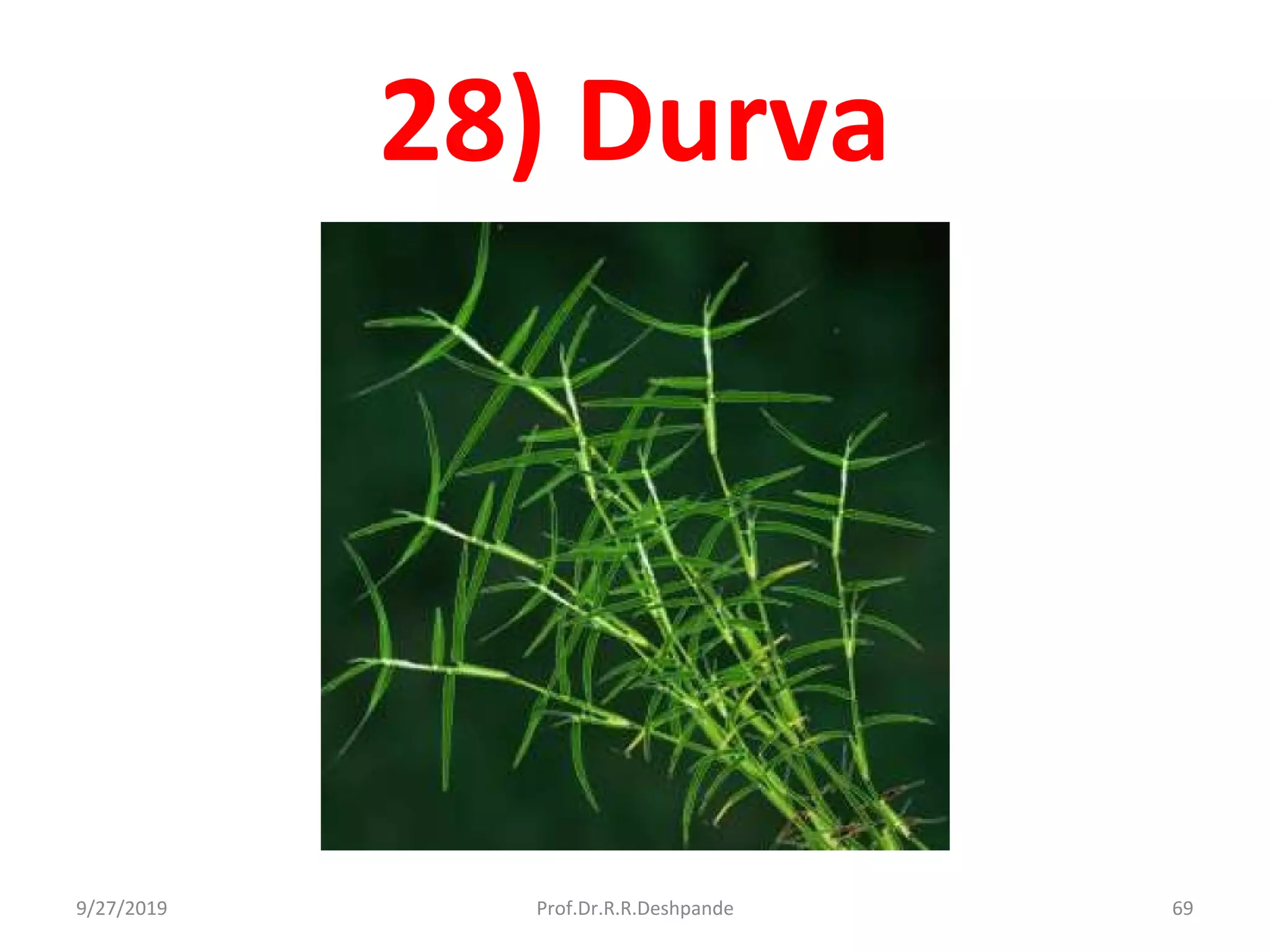 Dravyaguna vignyan ppt | PDF