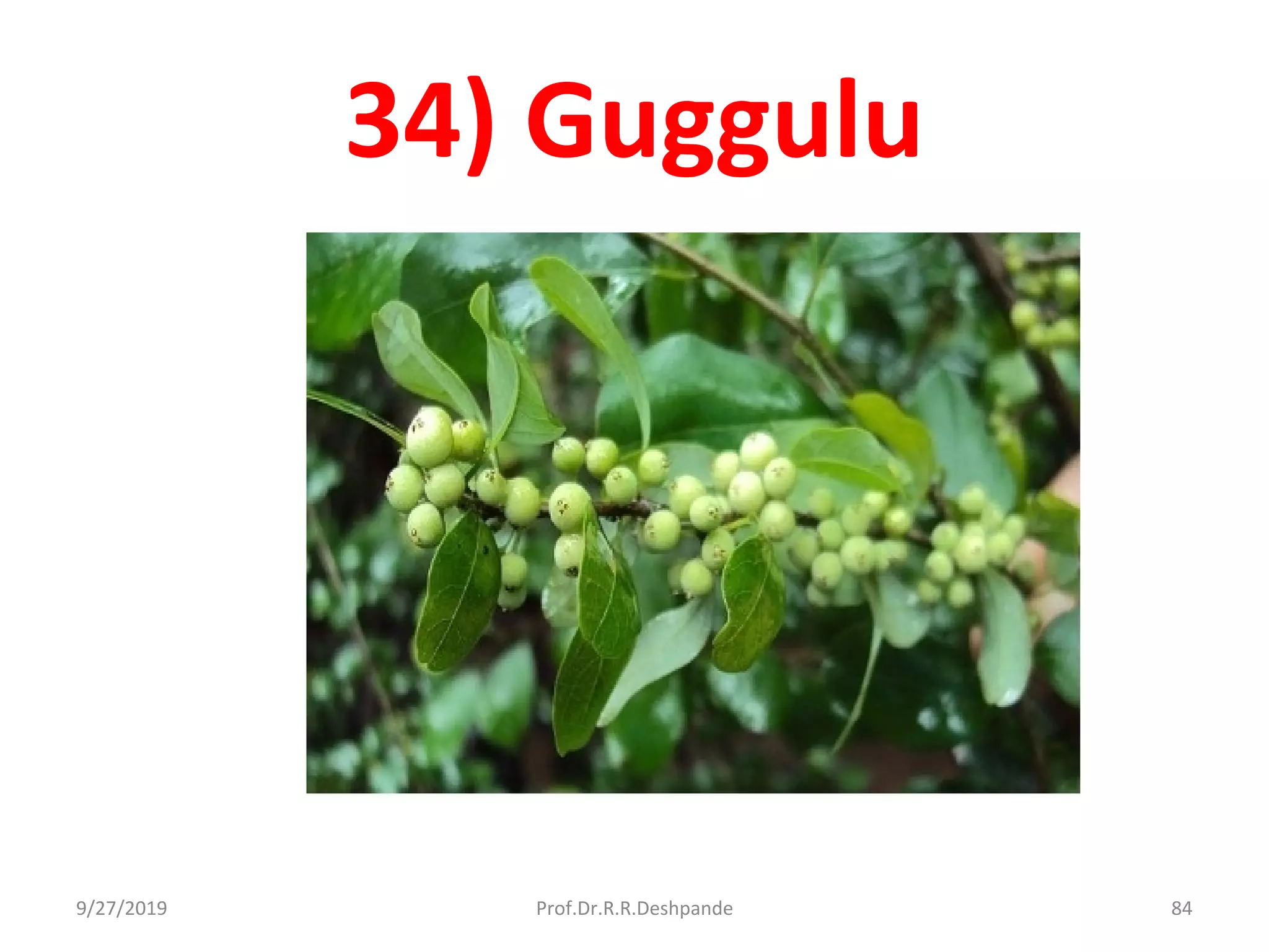 Dravyaguna vignyan ppt | PDF