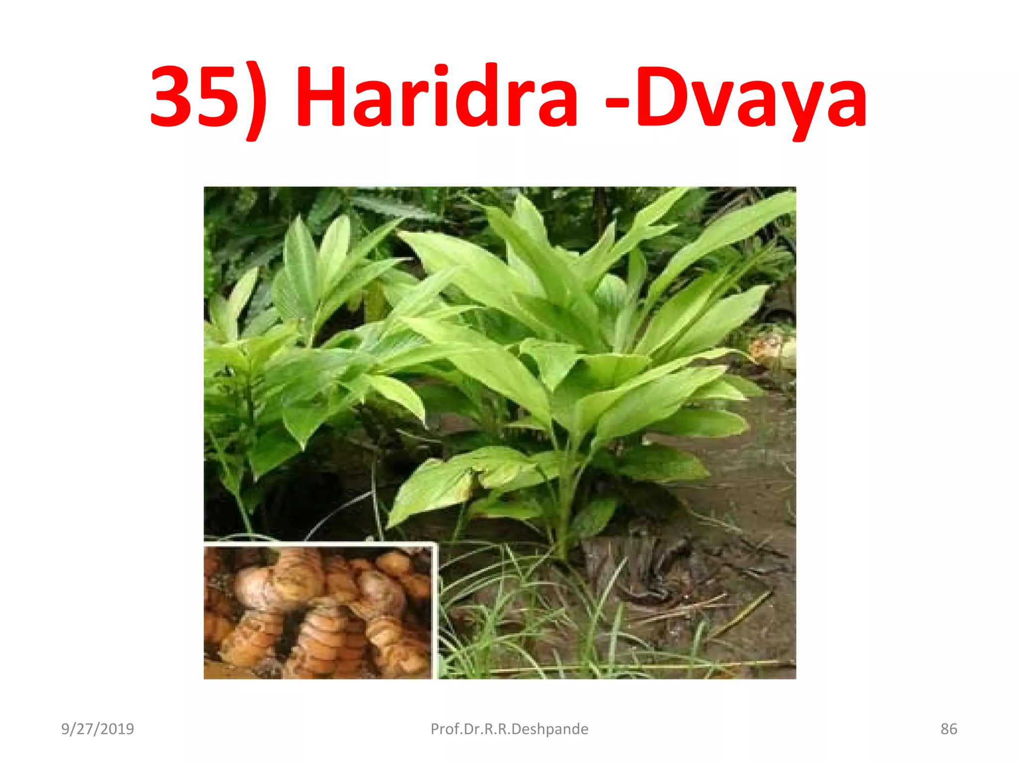 Dravyaguna vignyan ppt | PDF