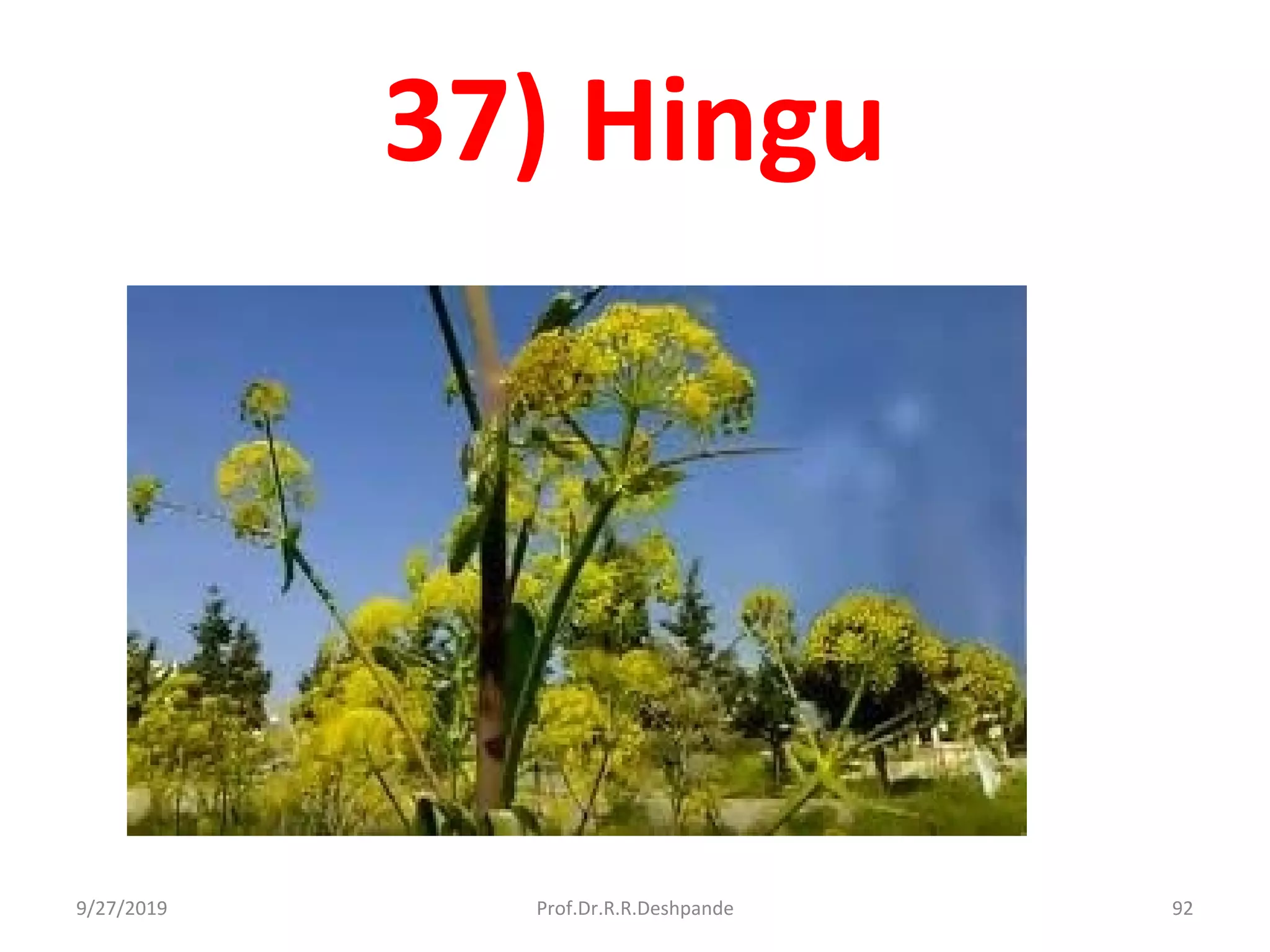Dravyaguna vignyan ppt | PDF