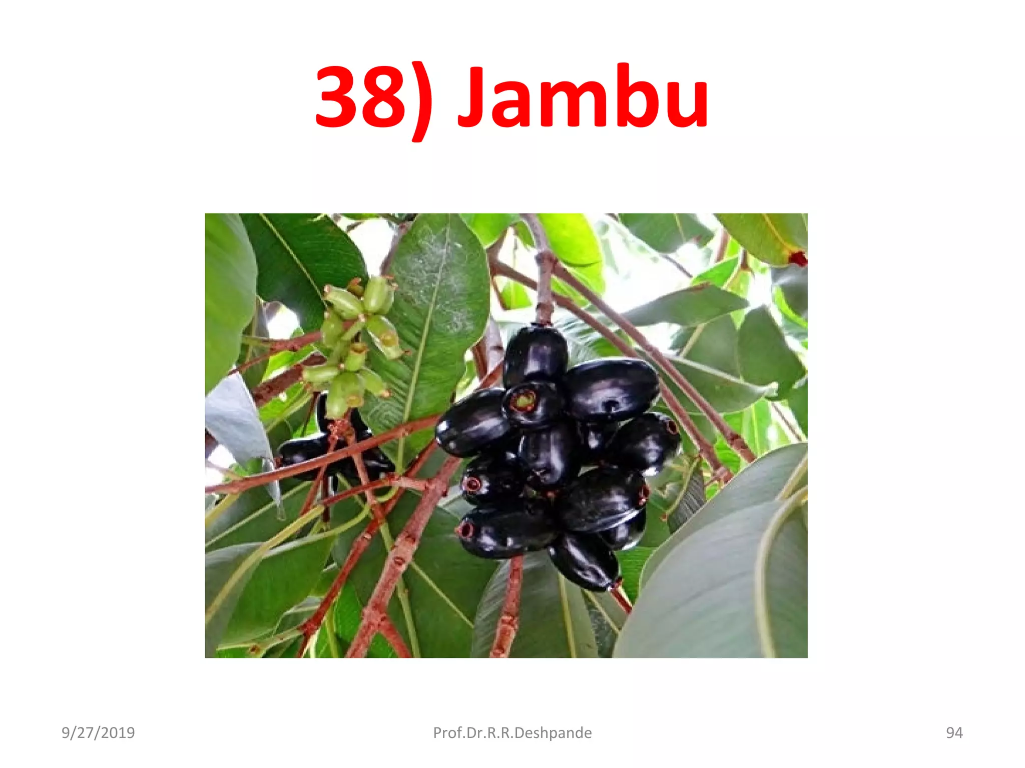Dravyaguna vignyan ppt | PDF