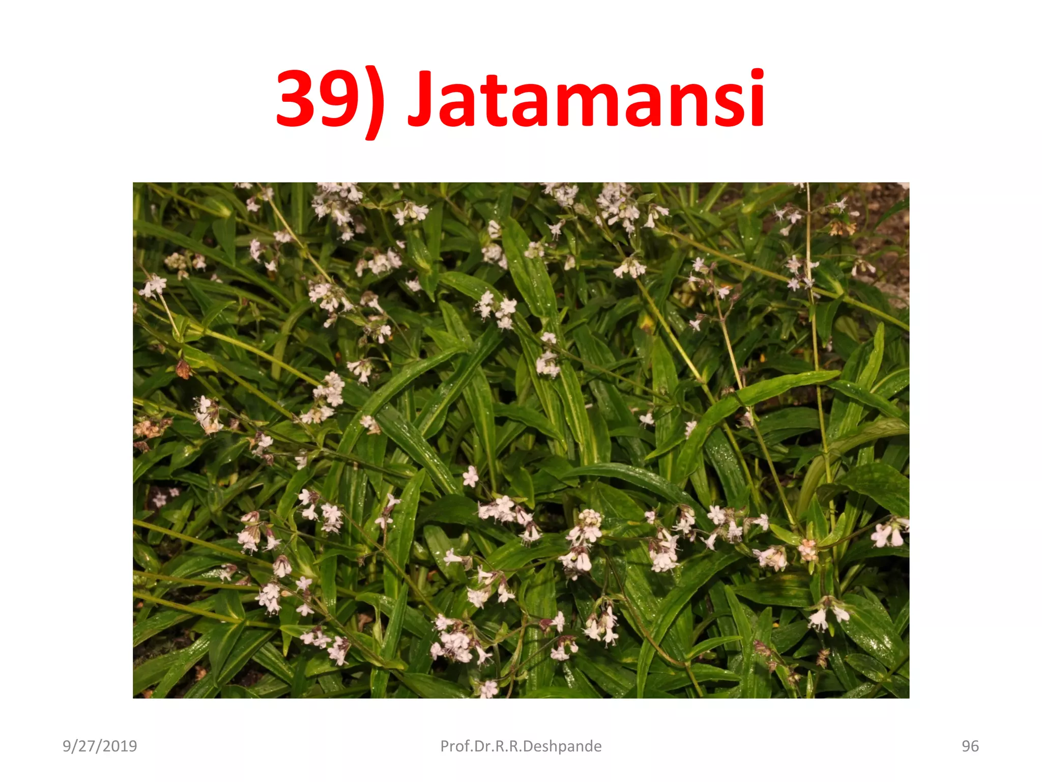 Dravyaguna vignyan ppt | PDF