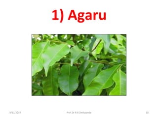 Dravyaguna vignyan ppt | PDF