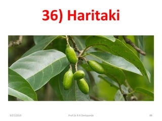 Dravyaguna vignyan ppt | PDF