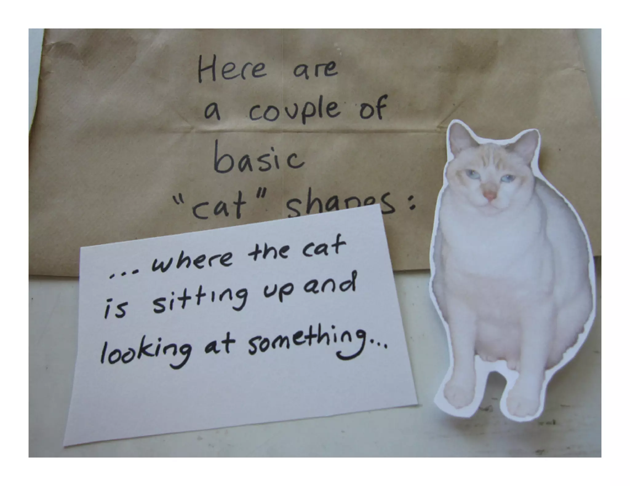 DroolyDog Drawing Lesson: Draw a Cat | PDF | Cats | Pets