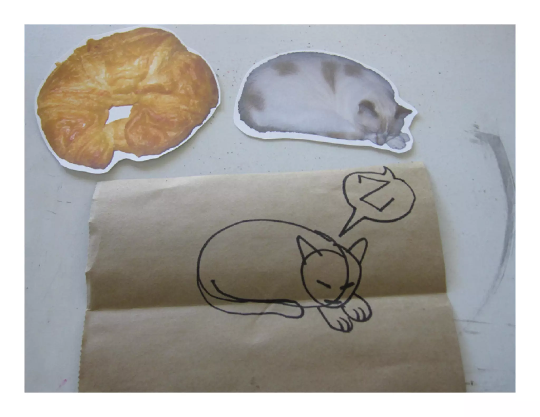 DroolyDog Drawing Lesson: Draw a Cat | PDF