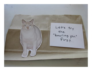 DroolyDog Drawing Lesson: Draw a Cat | PDF