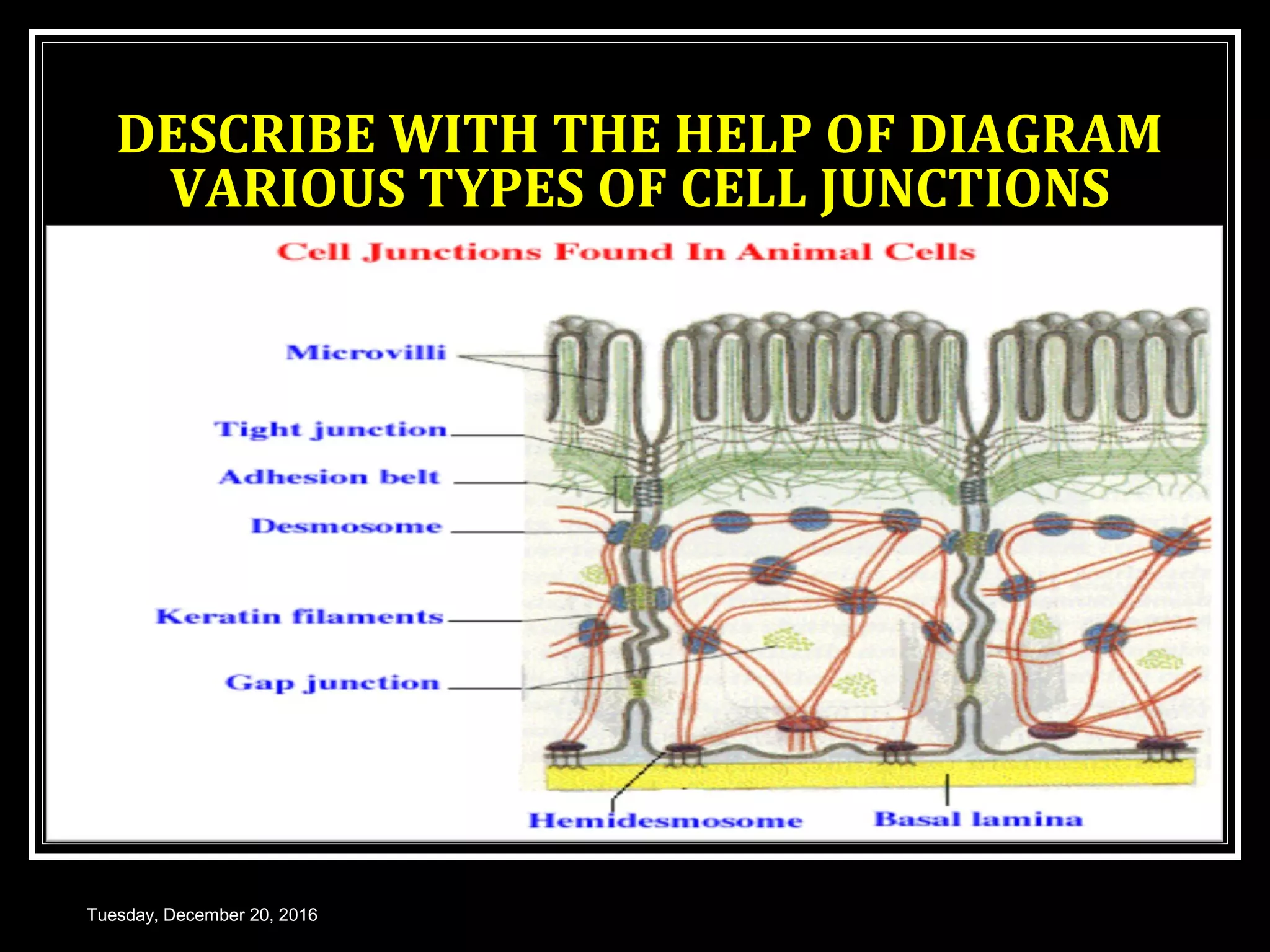 DRAW A NEAT DIAGRAM - GENERAL PHYSIOLOGY | PPT