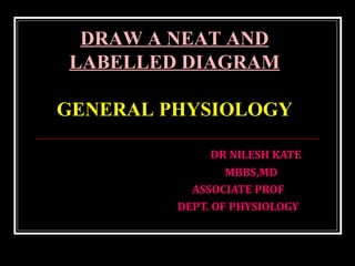 DRAW A NEAT DIAGRAM - GENERAL PHYSIOLOGY | PPT