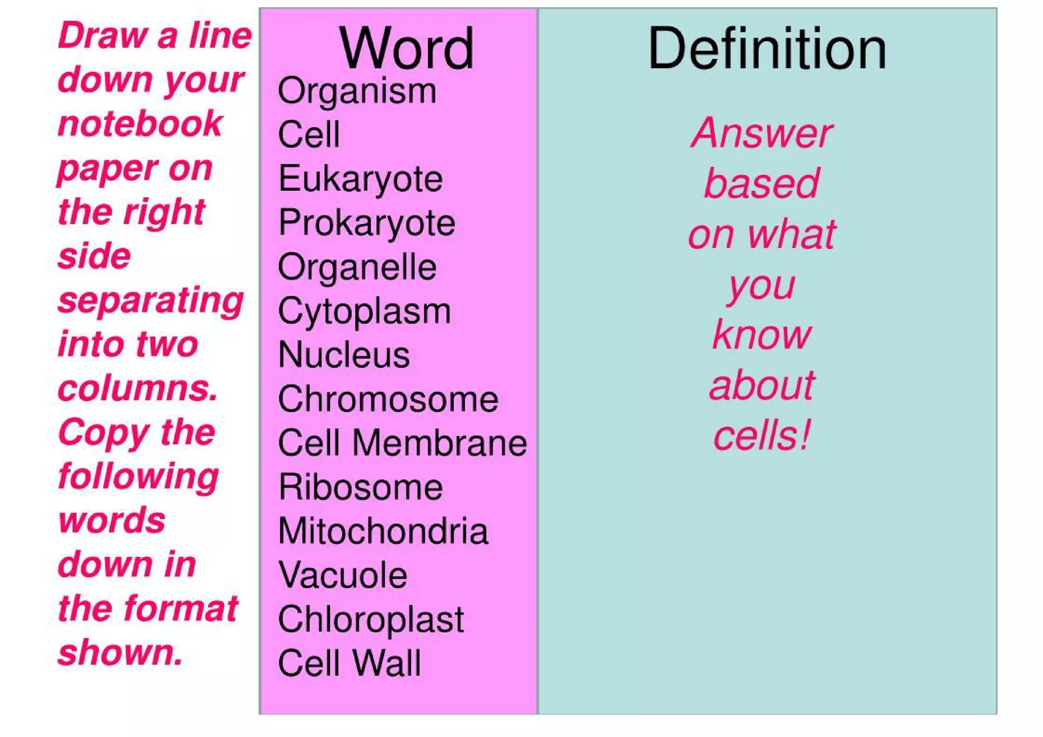 Draw A Line Down Your Notebook Paper On The Right Side Separating Into ...