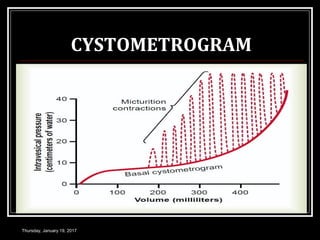 DRAW A NEAT DIAGRAM - EXCRETARY SYSTEM | PPT
