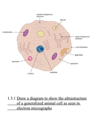 IB Biology Draw assessment statements | PPT
