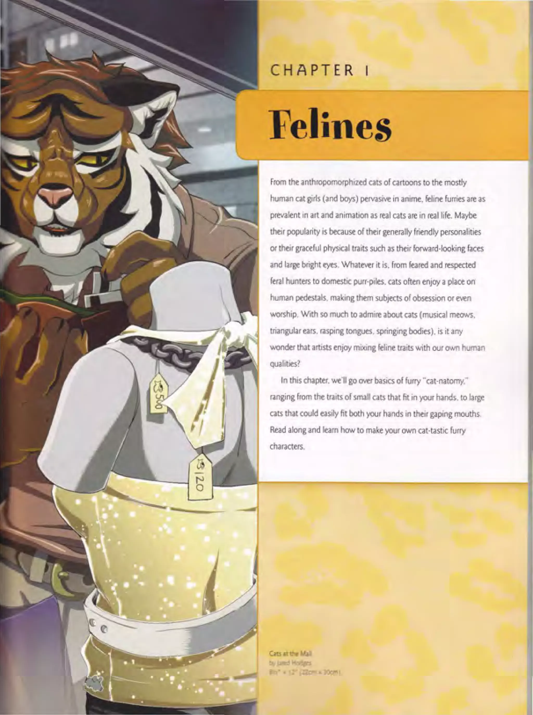 Draw Furries How to Create Anthropomorphic and Fantasy Animals.pdf