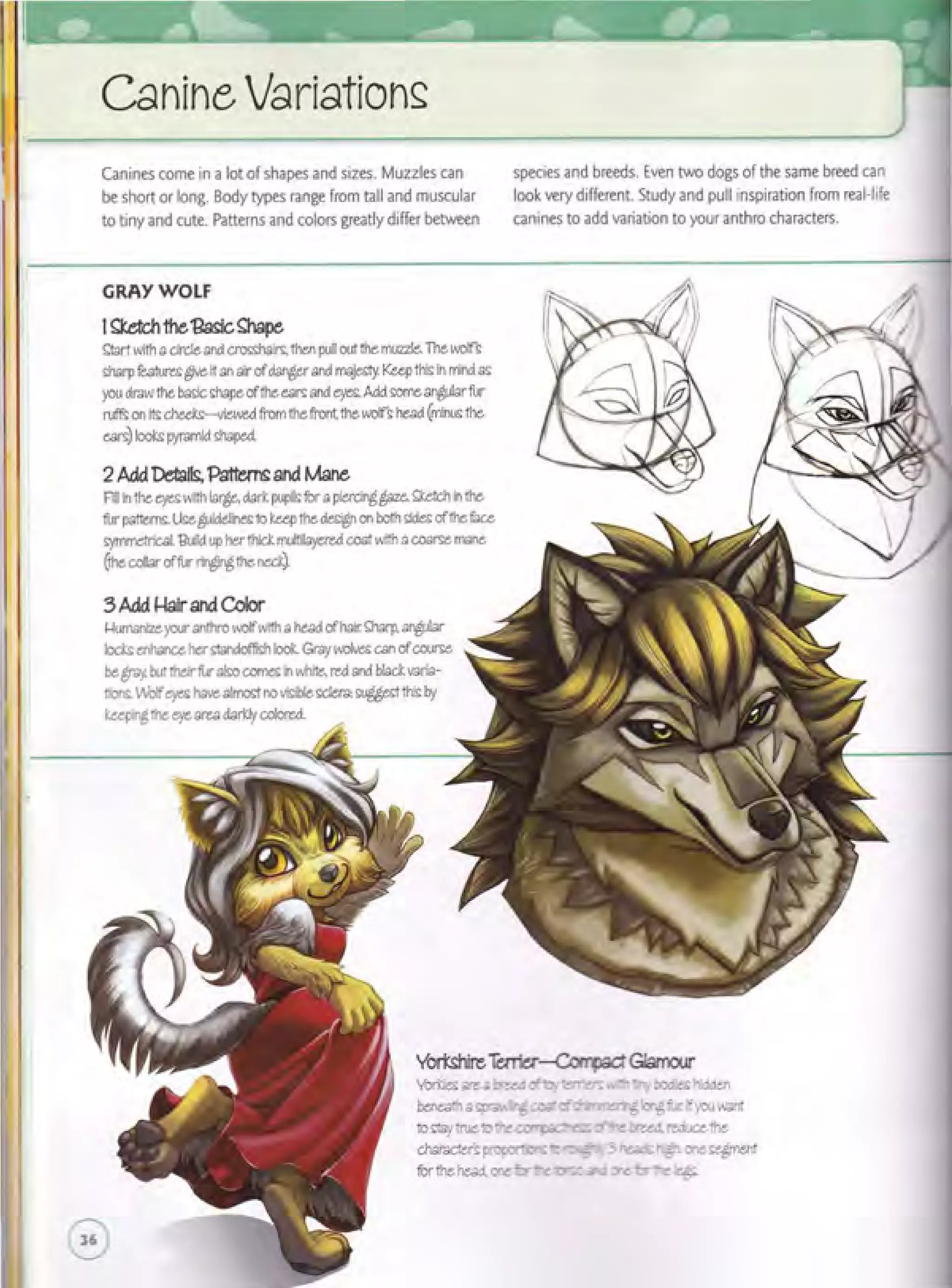 Draw Furries How to Create Anthropomorphic and Fantasy Animals.pdf