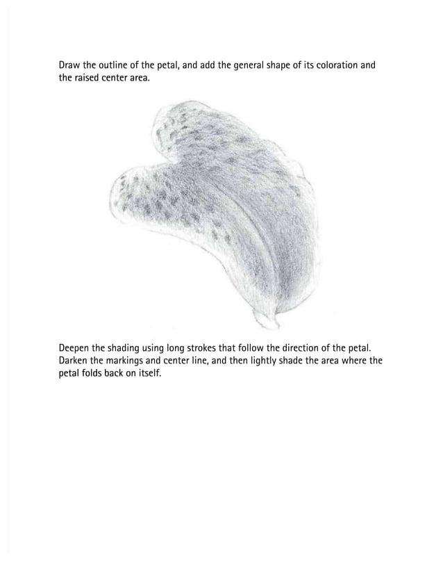 Drawing. Basic Textures In Pencil | PDF