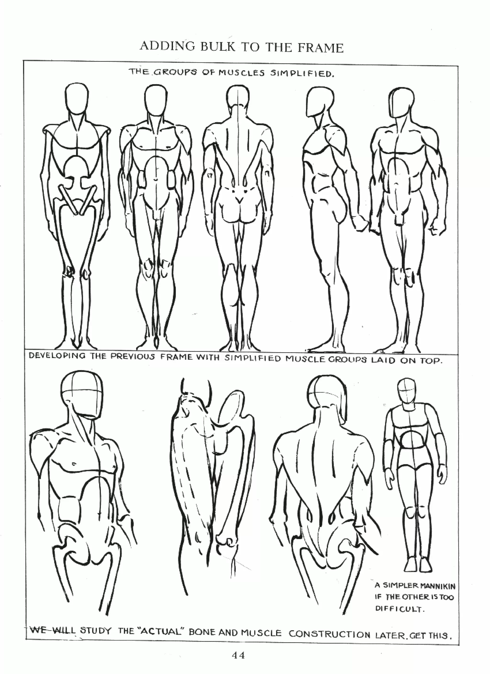 Drawing human body - female-anatomy-for-artist | PDF