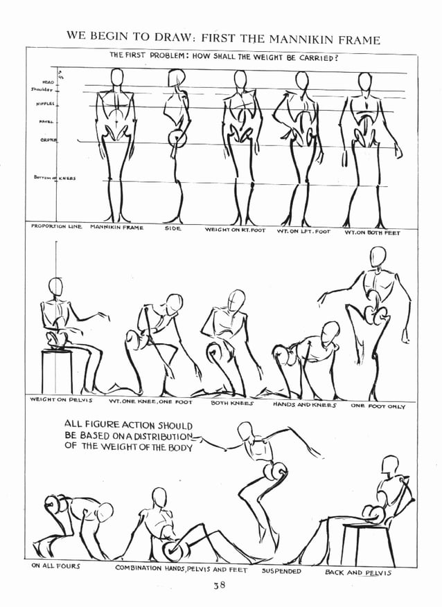 Drawing human body - female-anatomy-for-artist | PDF | Drawing and ...