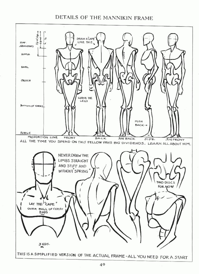 Drawing human body - female-anatomy-for-artist | PDF