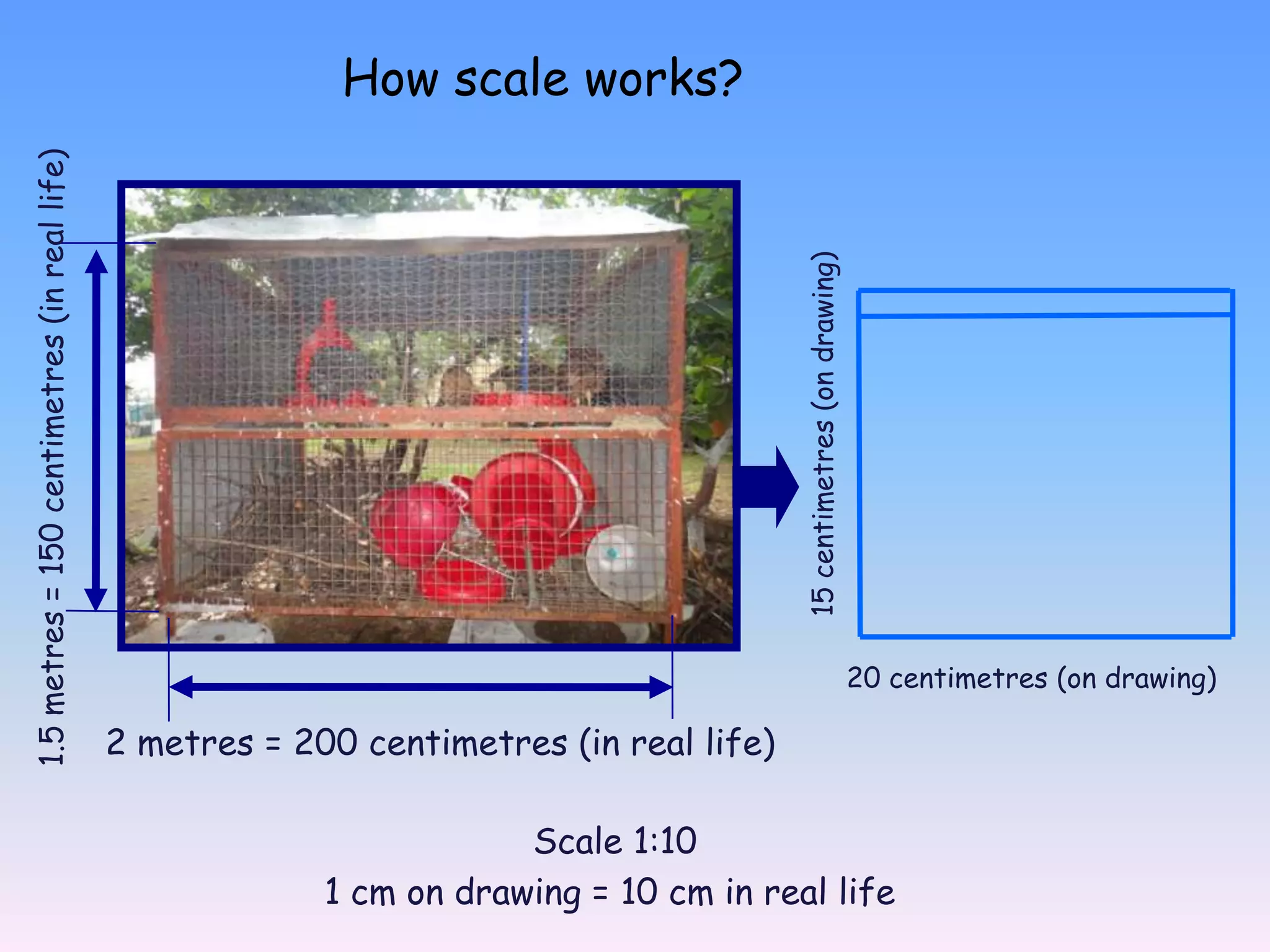 Drawing 3D Shapes To The Scale | PPTX