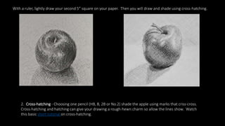 Drawing 6 apples beginning drawing | PPTX