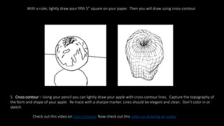 Drawing 6 apples beginning drawing | PPTX