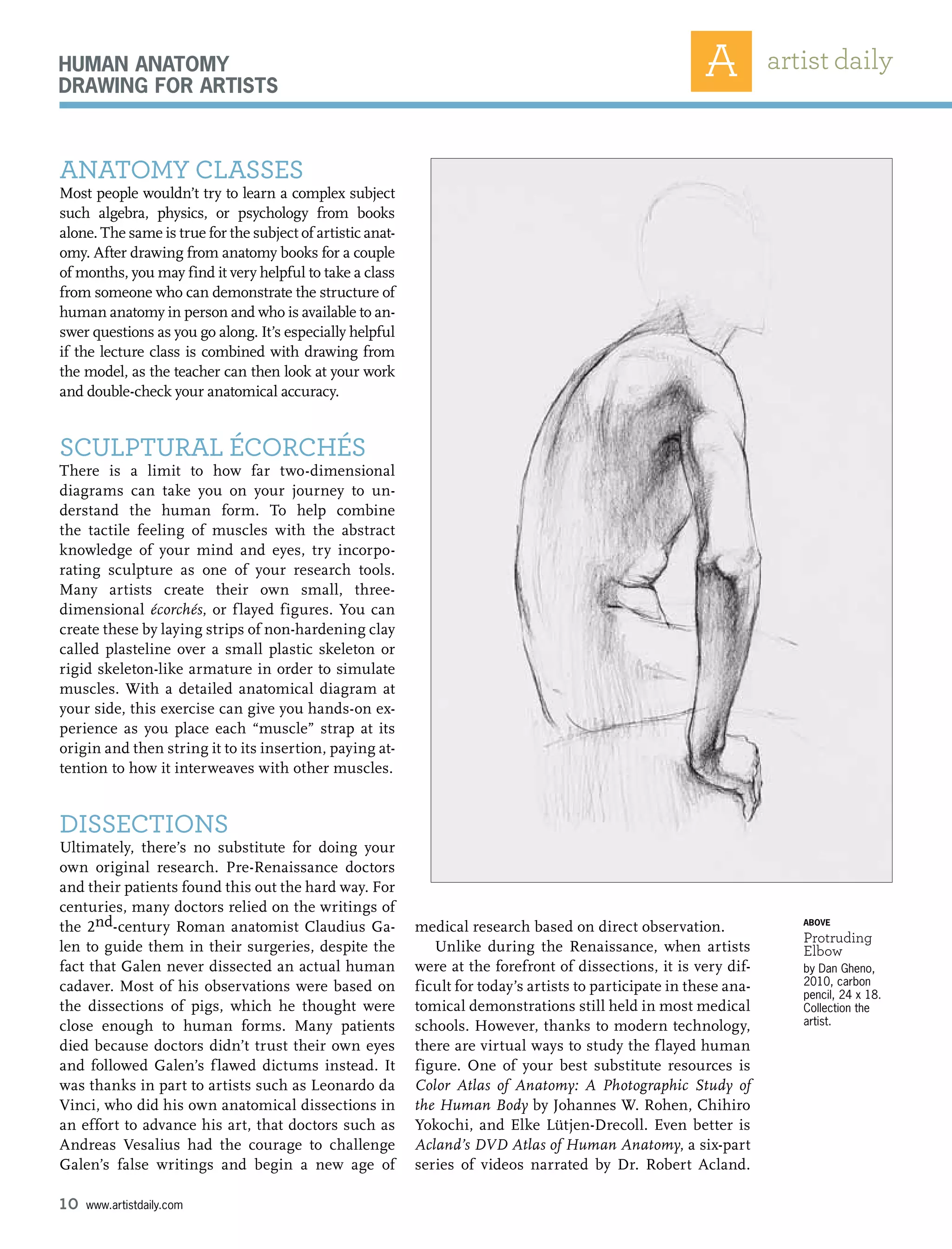 Drawing anatomy | PDF
