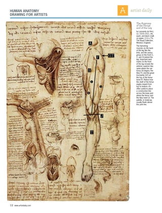 Under The Skin: Drawing Anatomy Getty360 Calendar | atelier-yuwa.ciao.jp