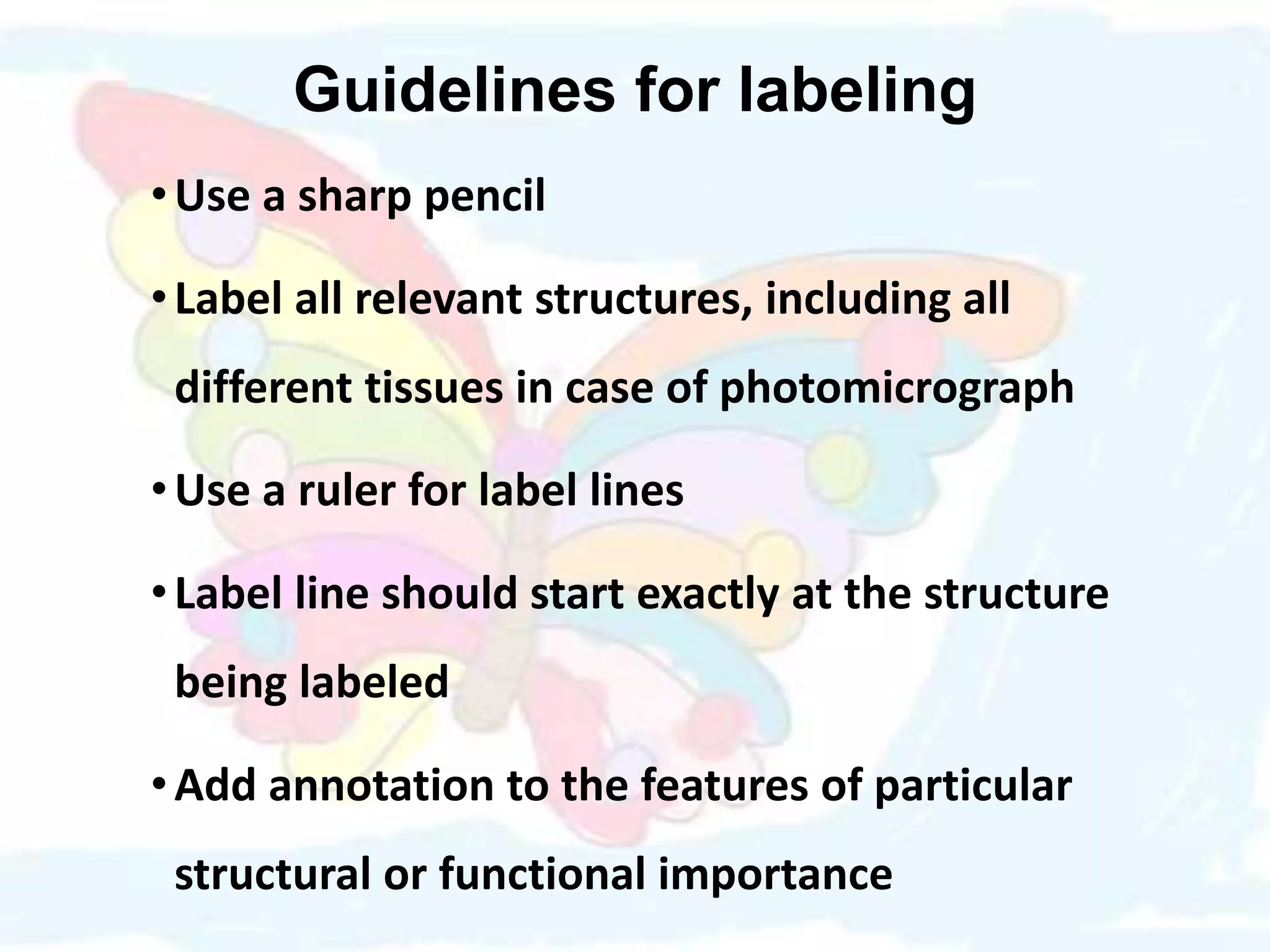 Drawing and labeling: Tips to make it scientific, aesthetic and easy | PPT