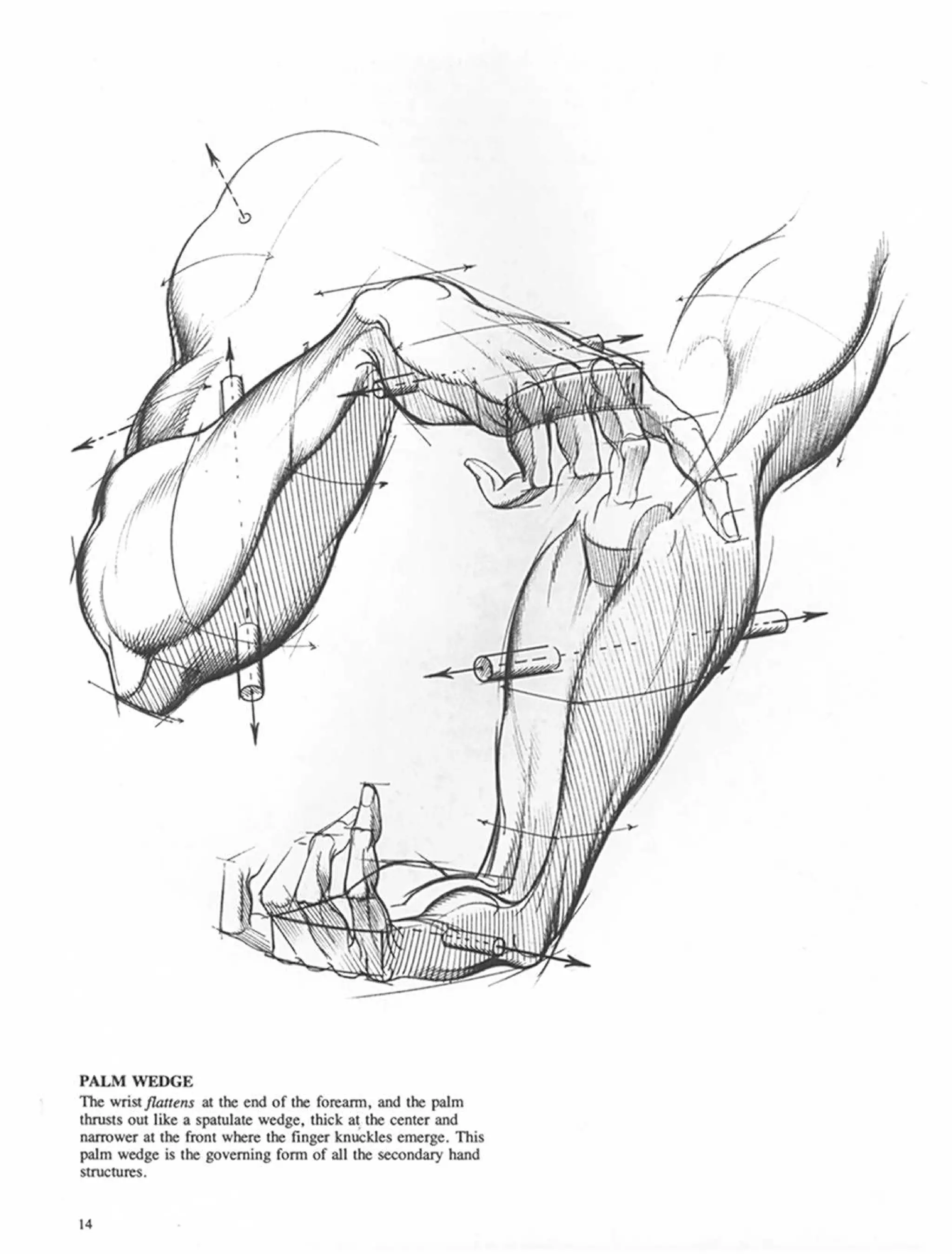 Drawing dynamic hands | PDF
