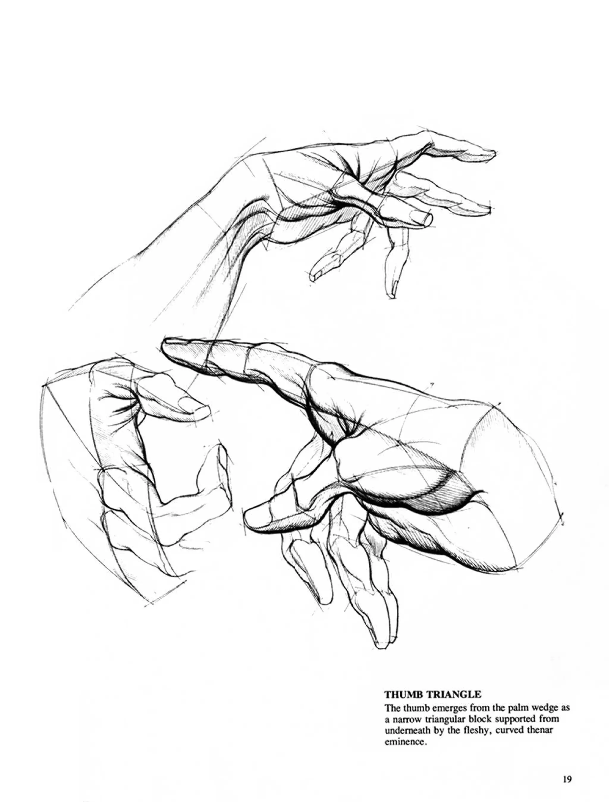 Drawing dynamic hands | PDF