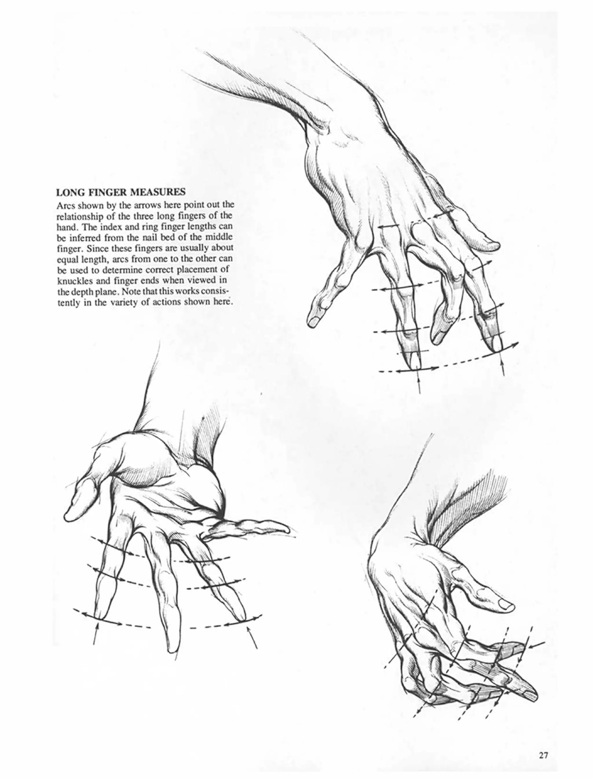 Drawing dynamic hands | PDF