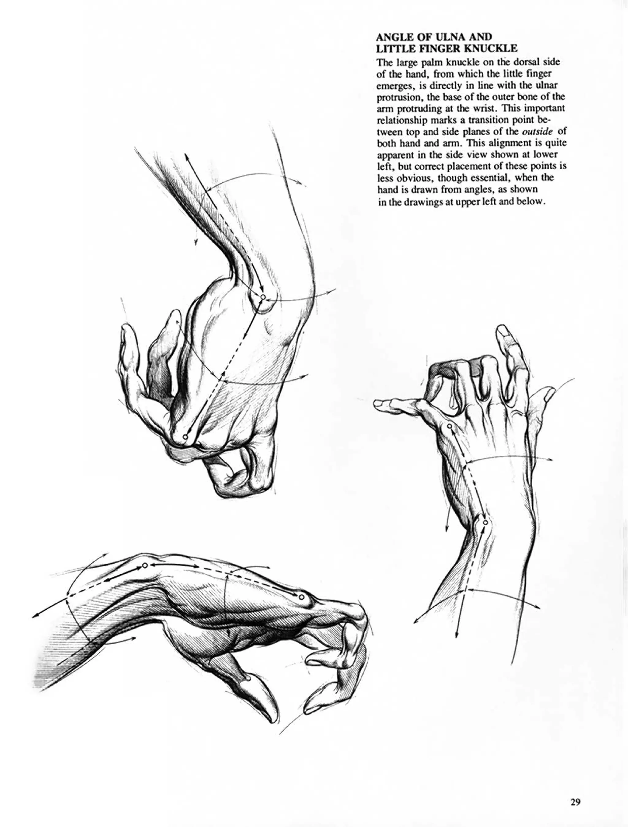 Drawing dynamic hands | PDF