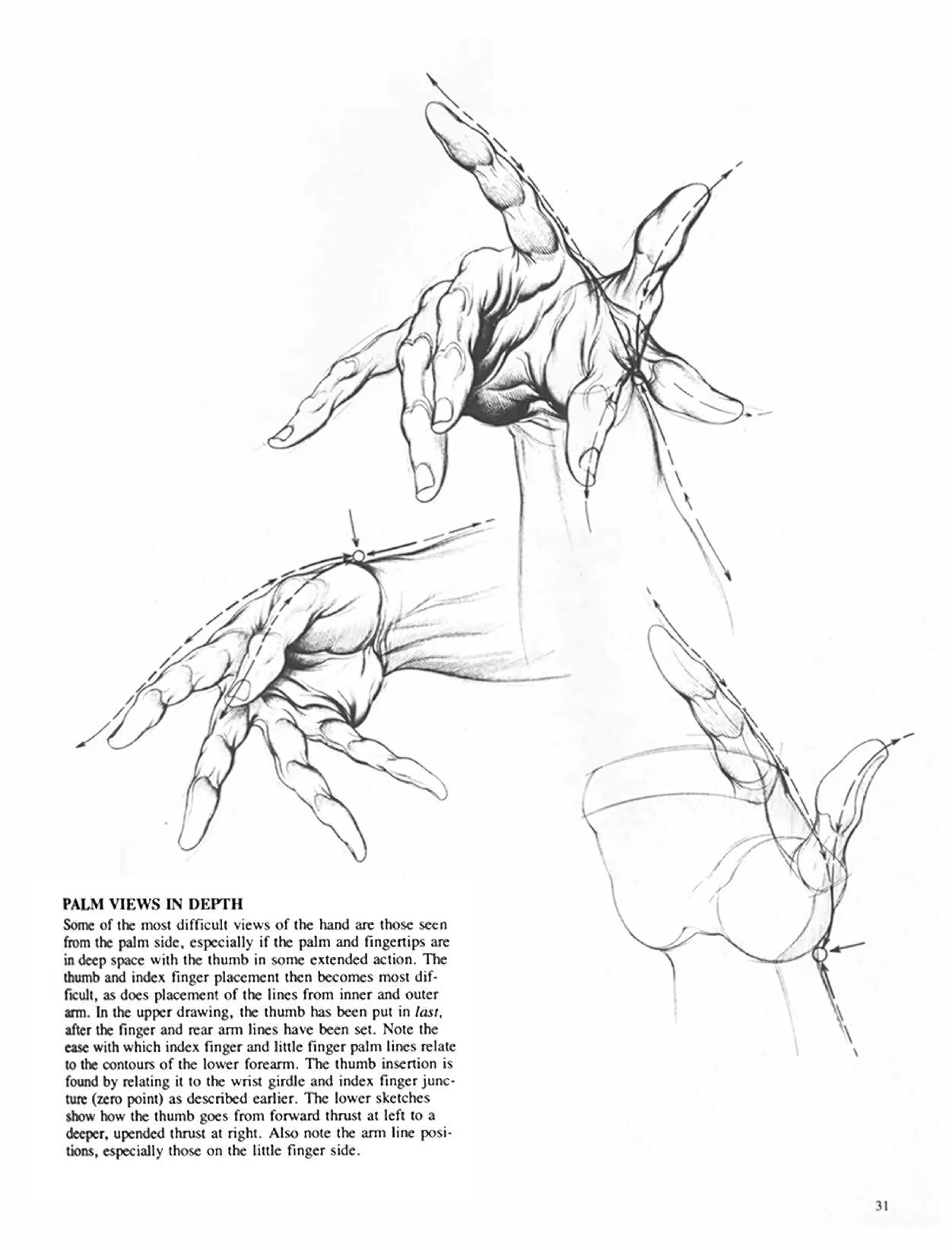 Drawing dynamic hands | PDF