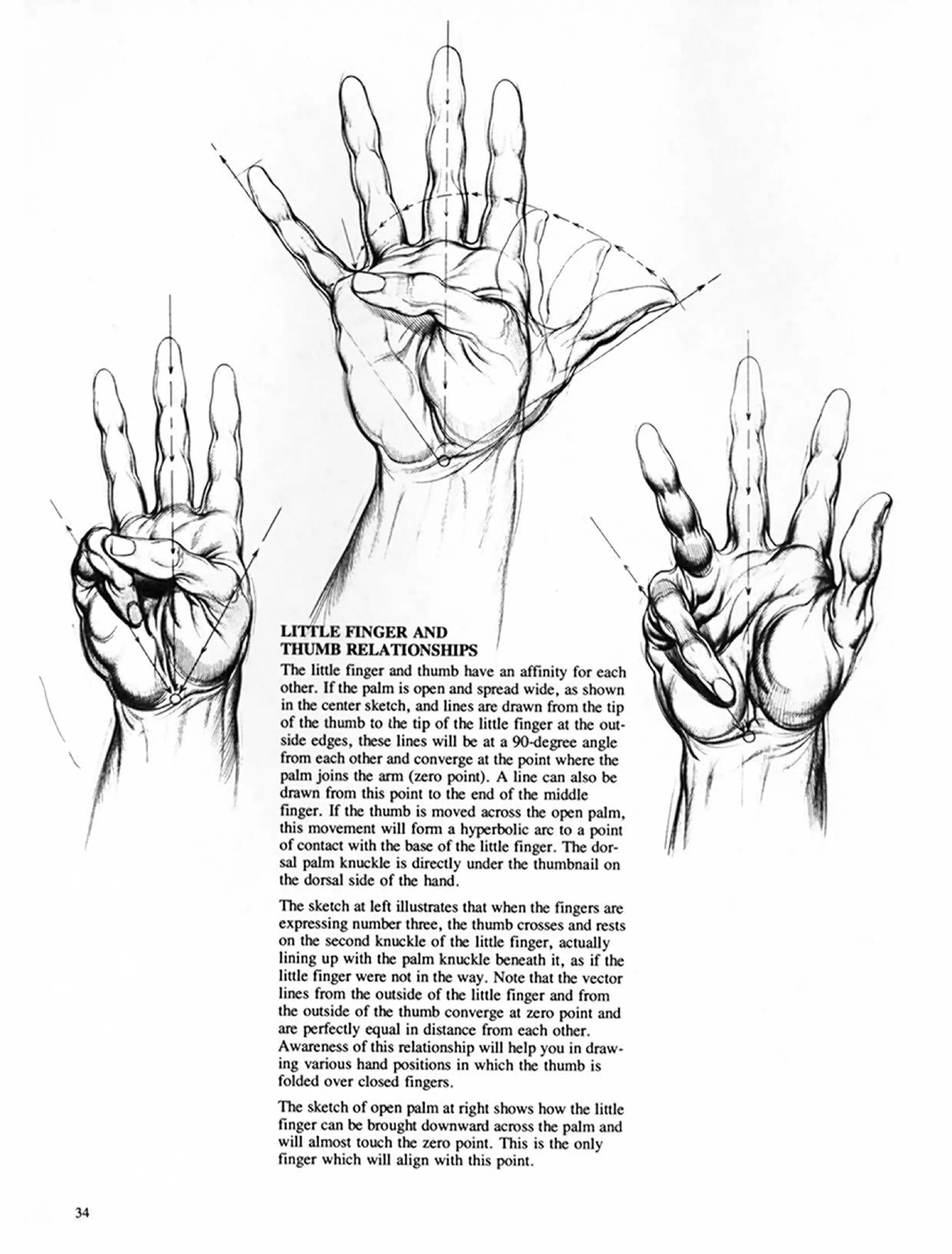 Drawing dynamic hands | PDF