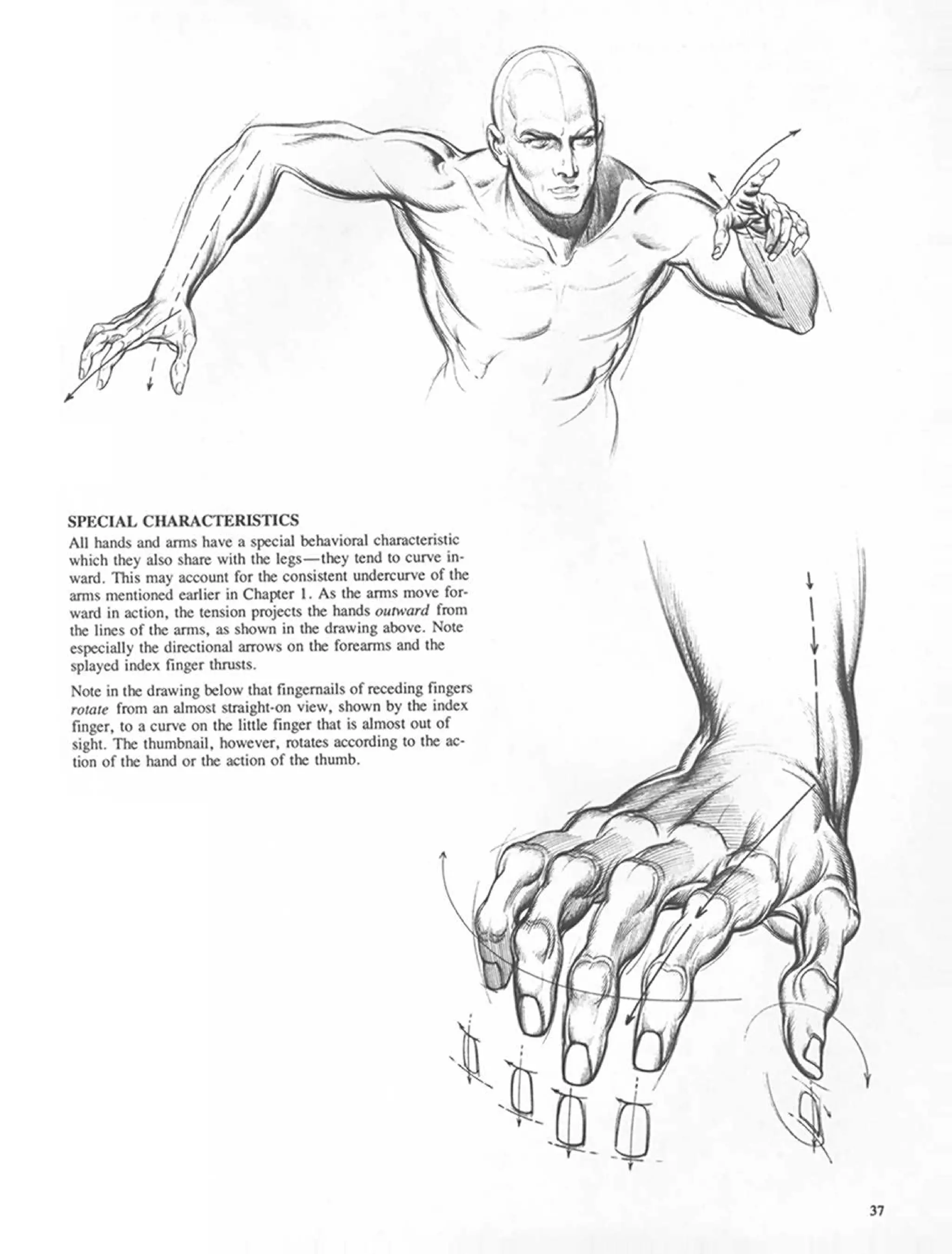 Drawing dynamic hands | PDF | Environment | Science