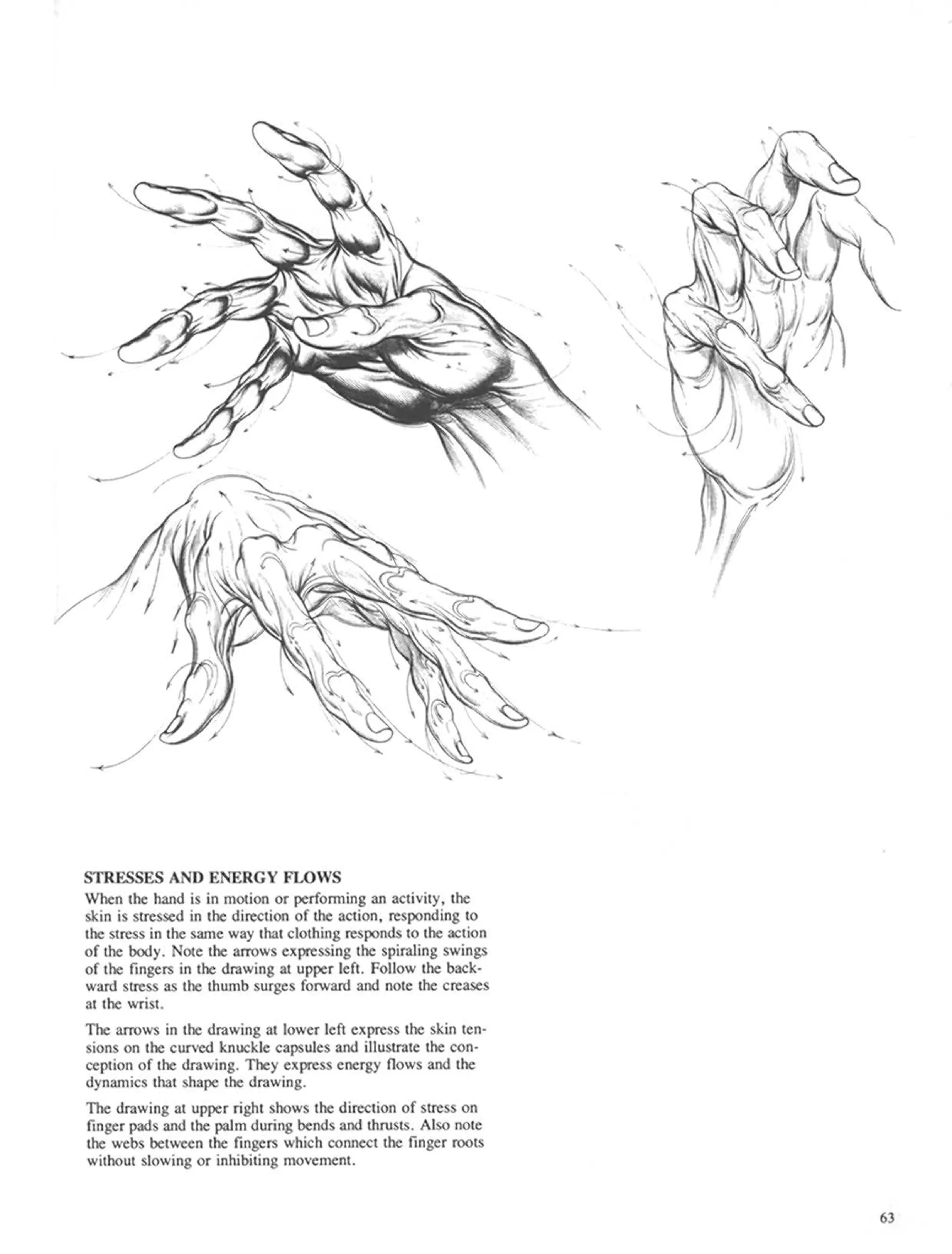 Drawing dynamic hands | PDF