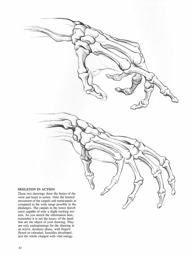 Drawing dynamic hands | PDF | Environment | Science