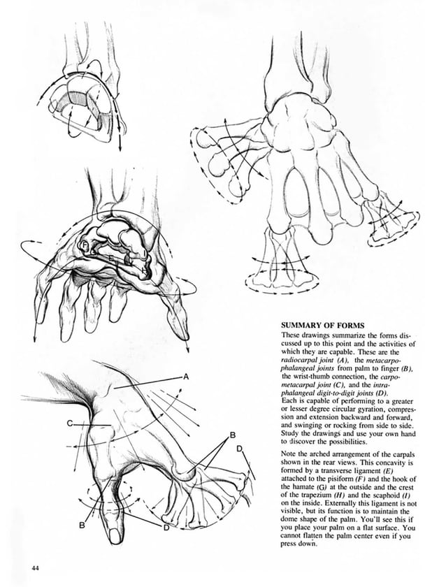 Drawing dynamic hands | PDF | Environment | Science