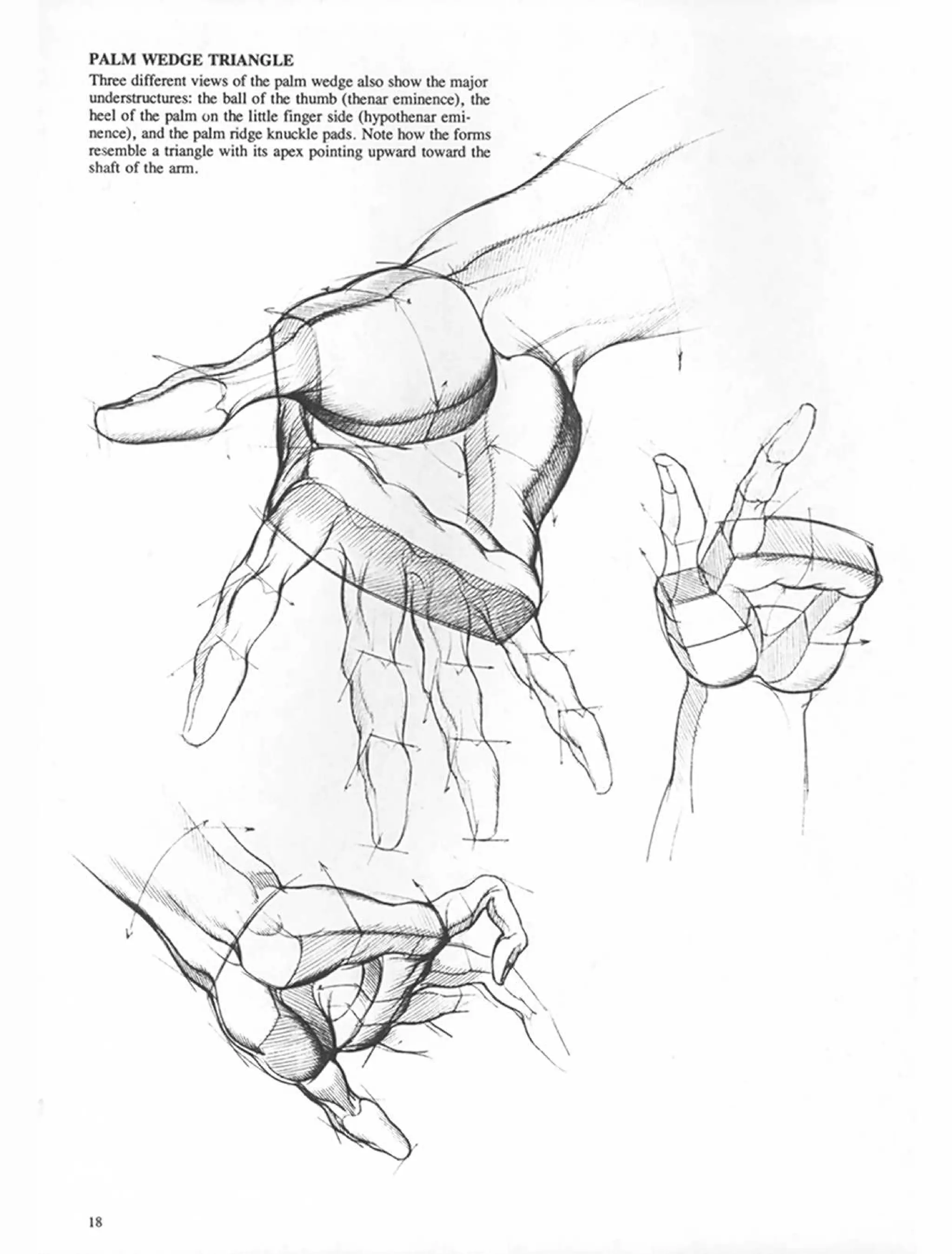 Drawing dynamic hands | PDF