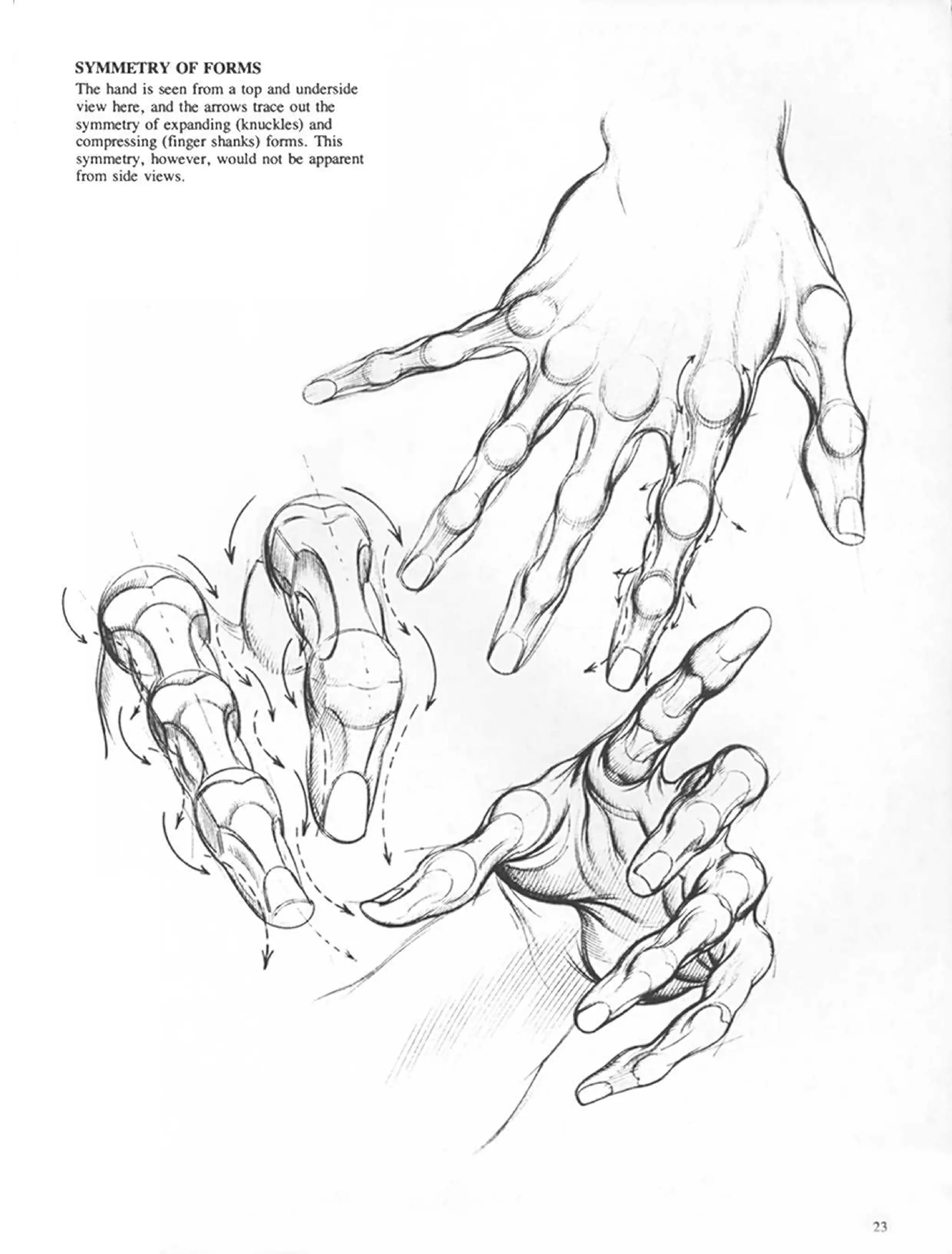 Drawing dynamic hands | PDF