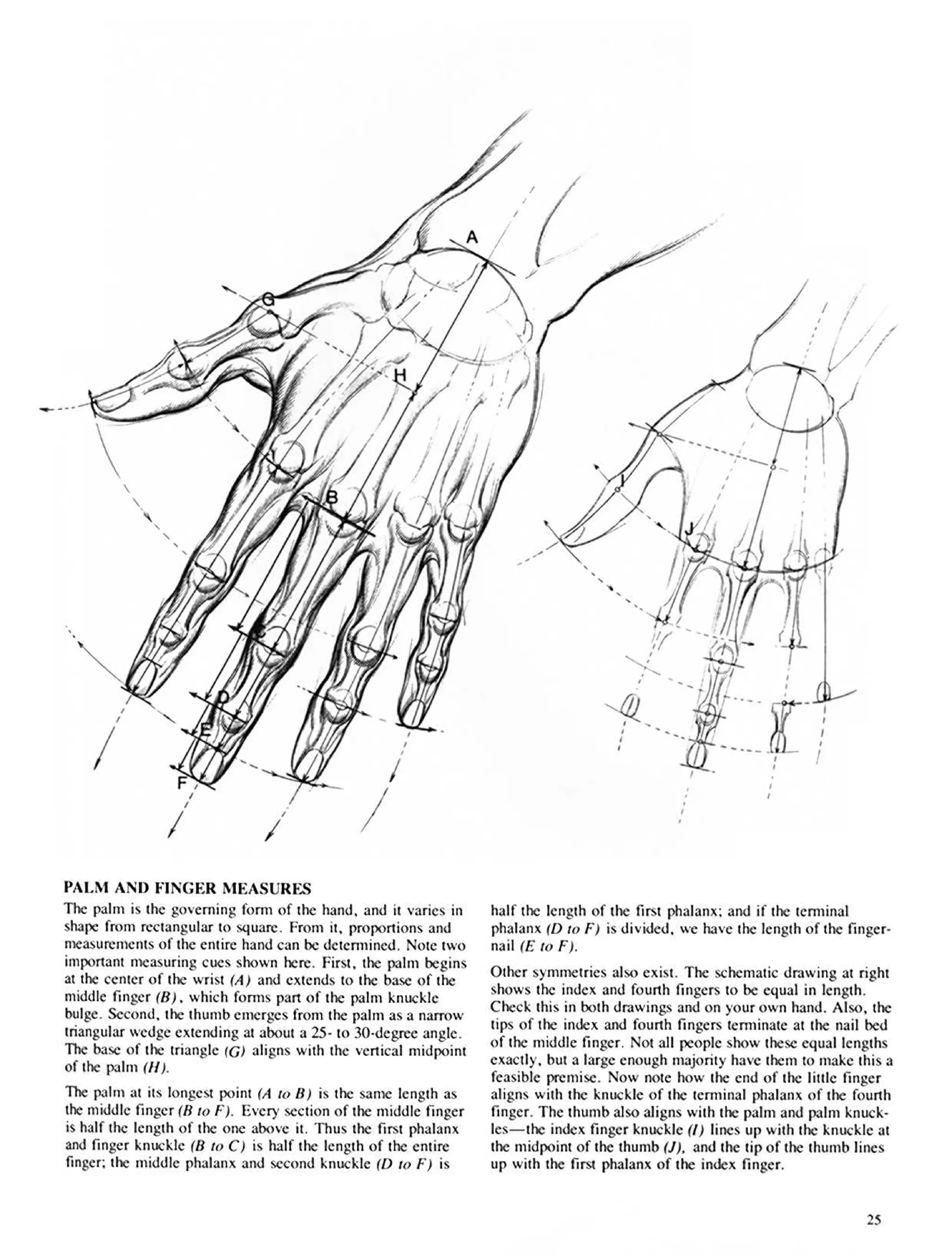 Drawing dynamic hands | PDF