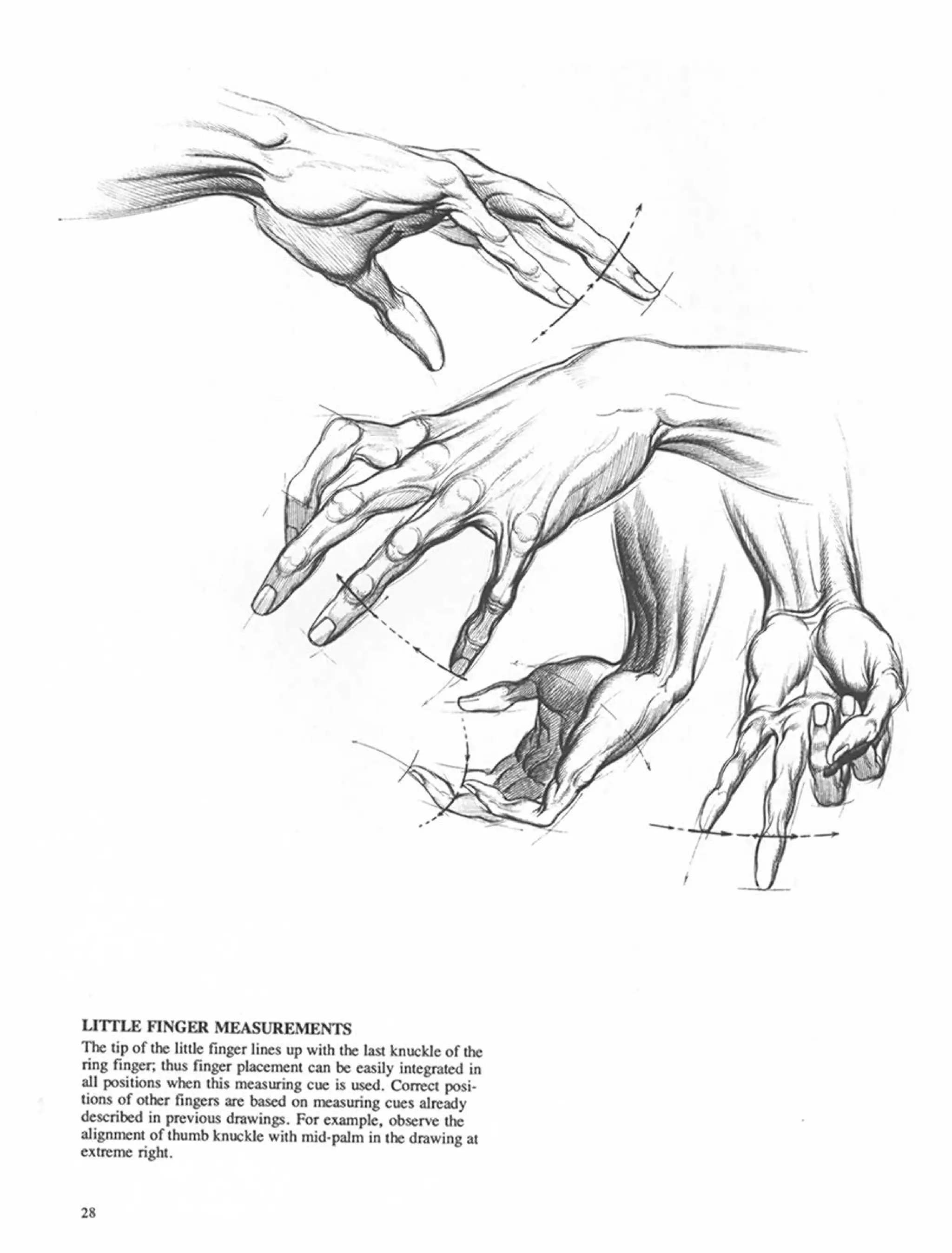 Drawing dynamic hands | PDF