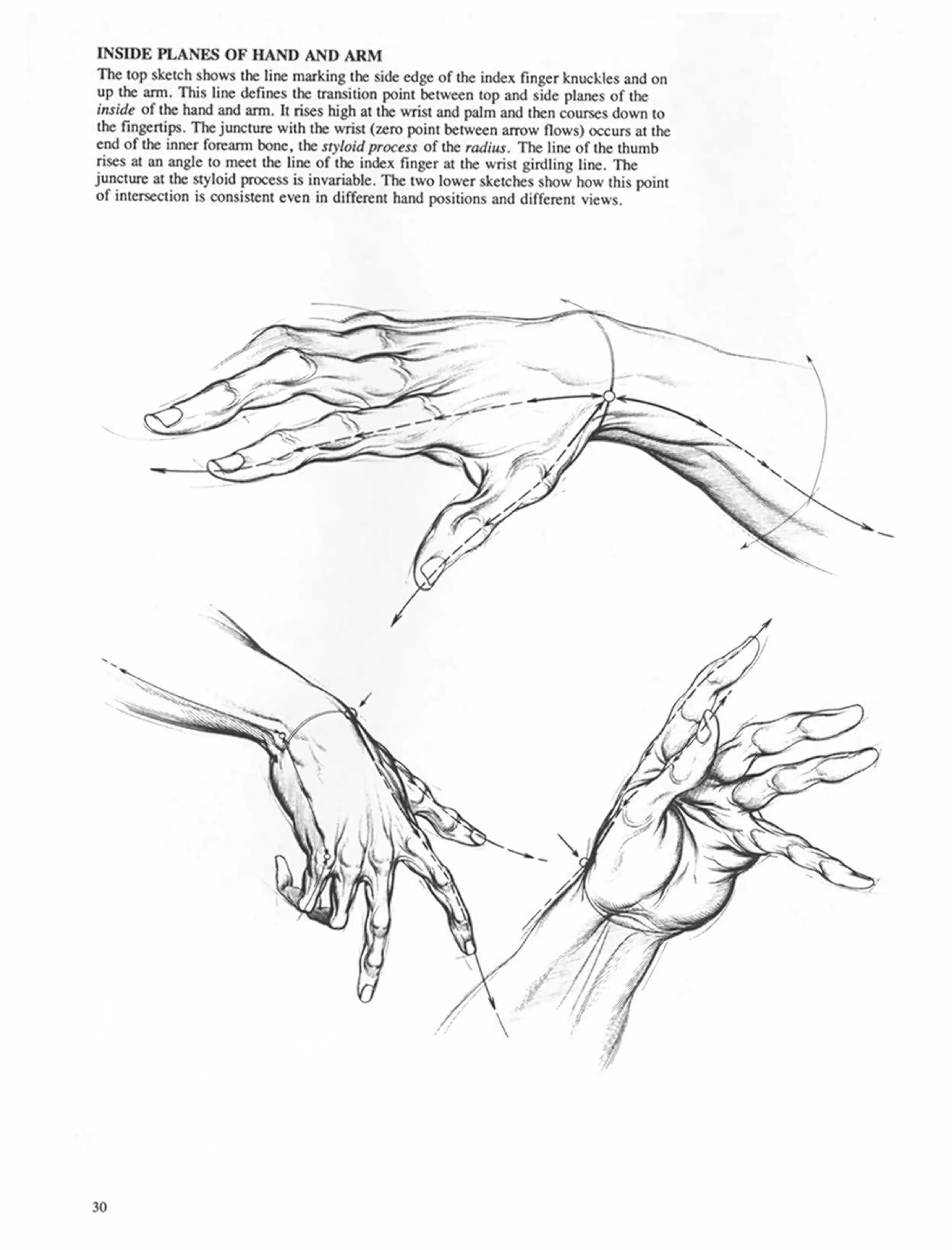 Drawing dynamic hands | PDF
