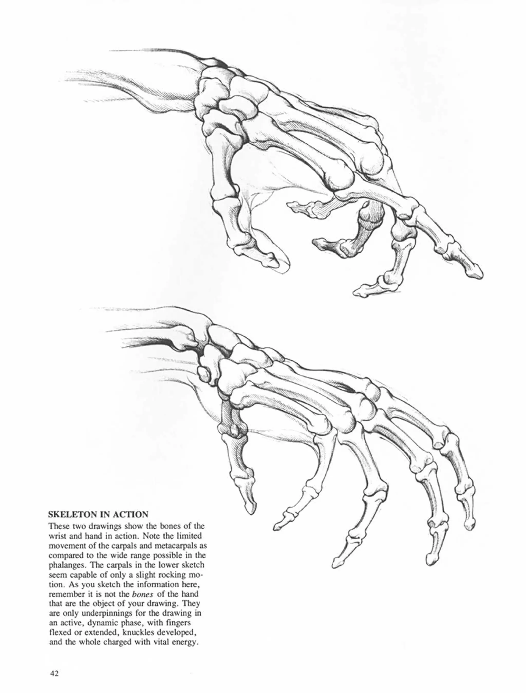 Drawing dynamic hands | PDF
