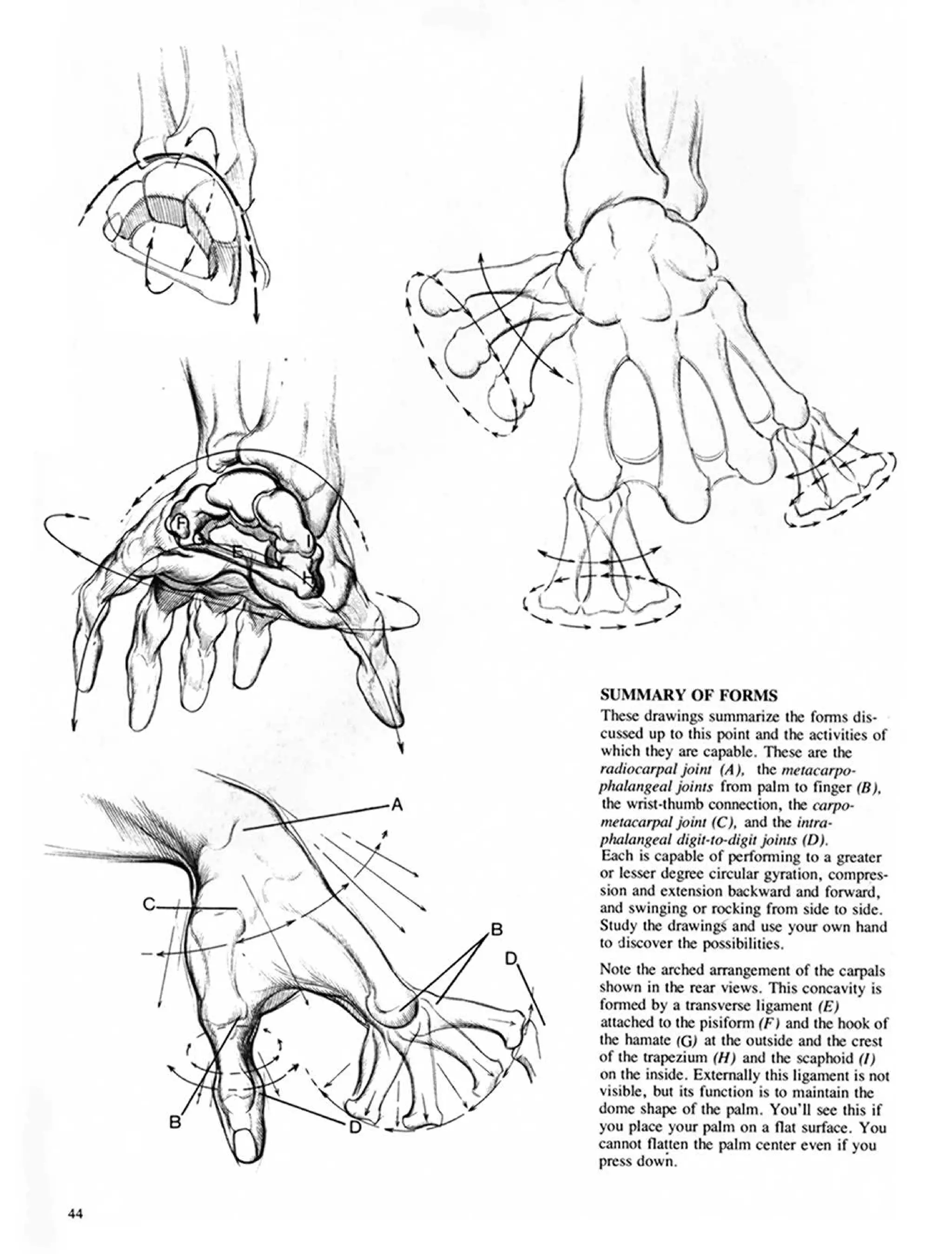 Drawing dynamic hands | PDF