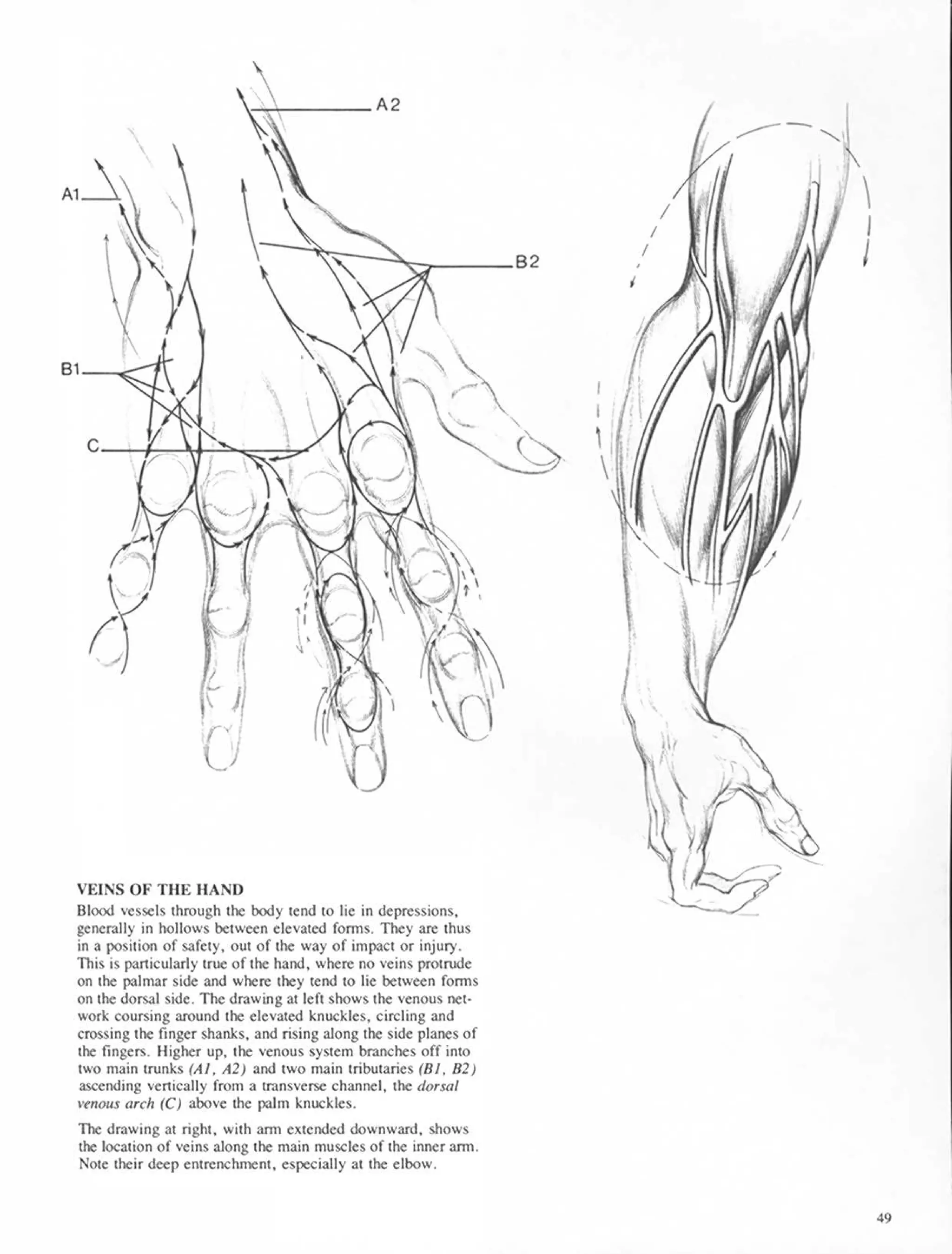 Drawing dynamic hands | PDF